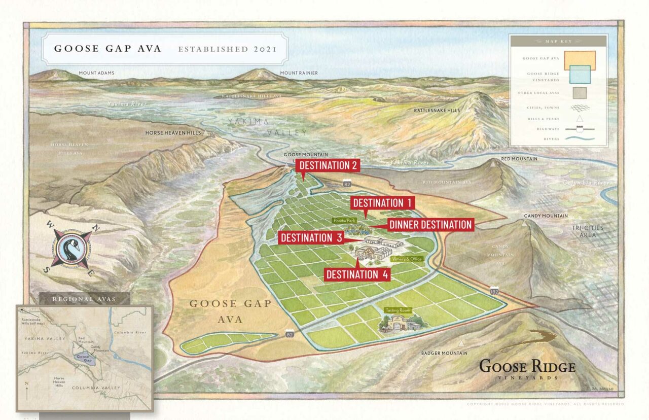 Destination Goose Gap - Destination Brands